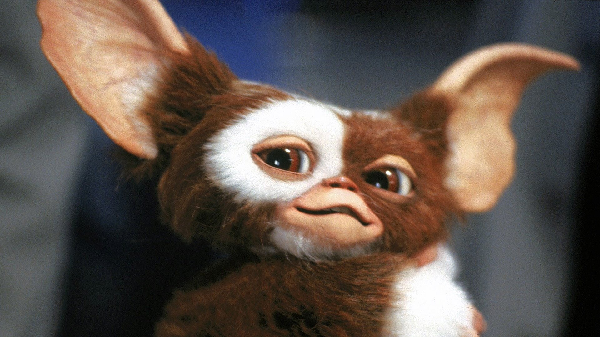 Gremlins 3 : les petites créatures reviennent semer le chaos… au cinéma ...